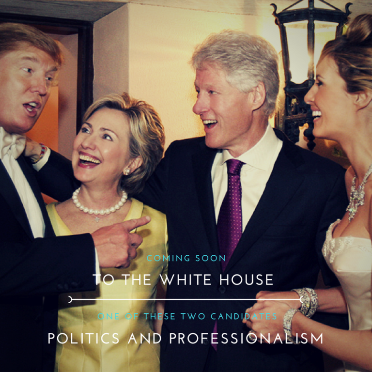 Politics and Professionalism 2016 - b. michelle pippin